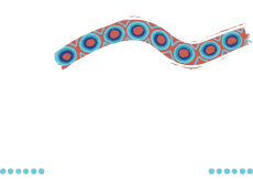 About Us – GaWun Supplies